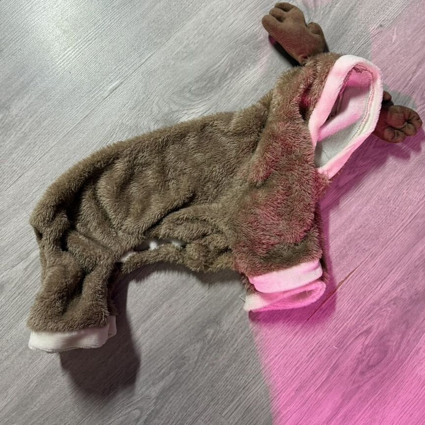 Одежда для собак мелких пород s