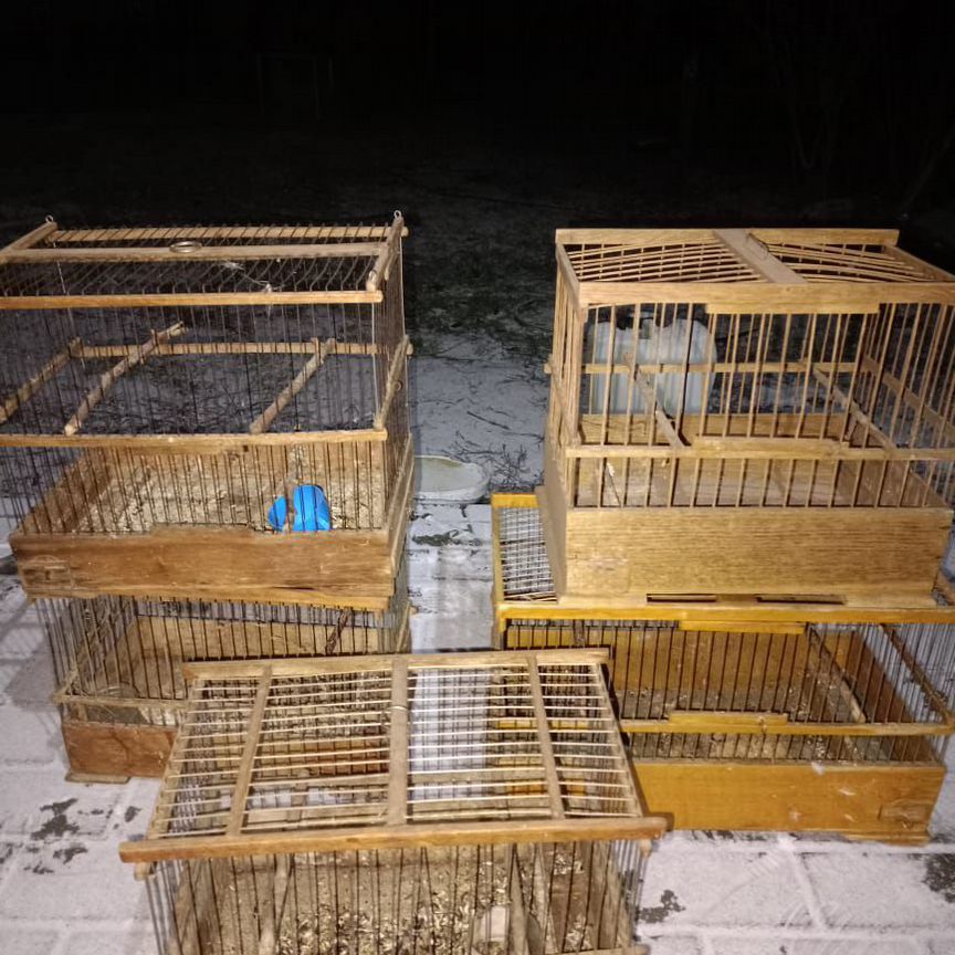 Клетки для певчих птиц