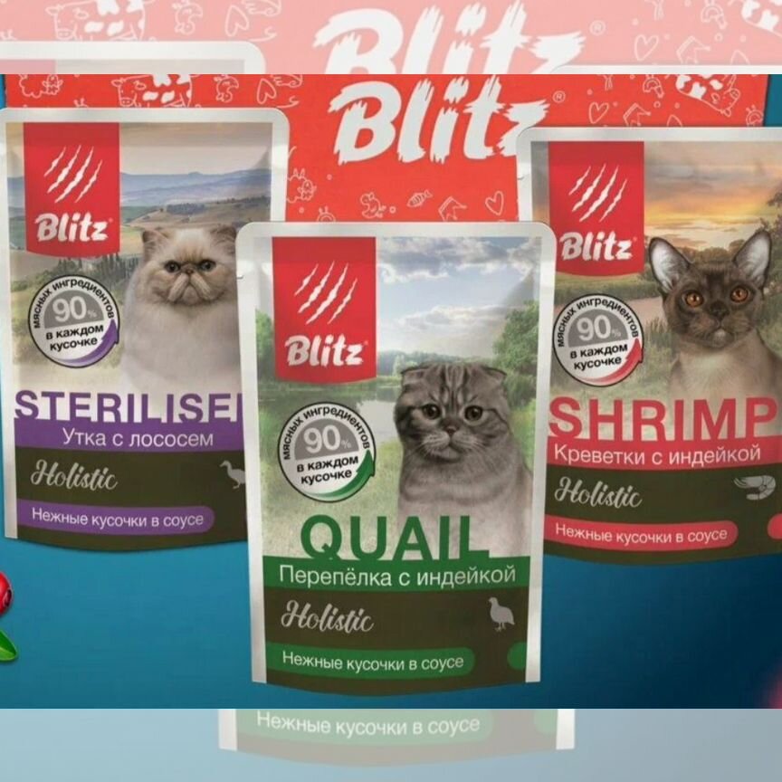 Корм для кошек blitz holistic