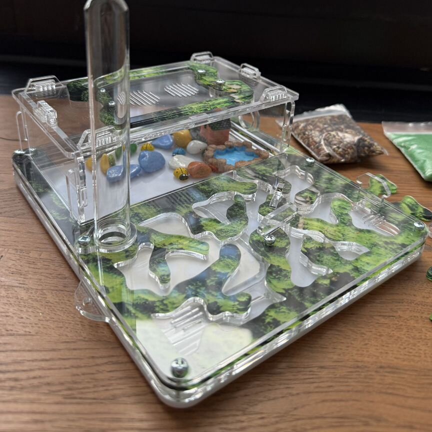 Муравьиная ферма новая без муравьев