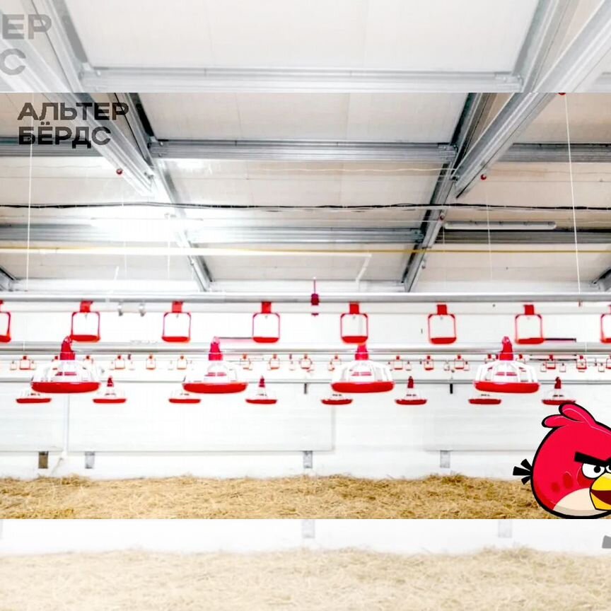 Ниппельное поение