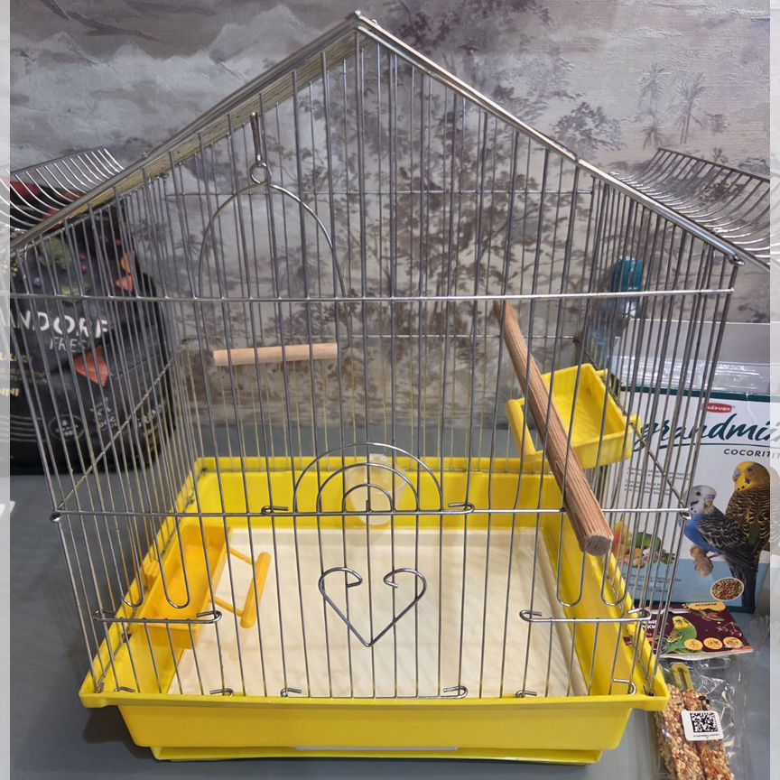 Волнистый попугай