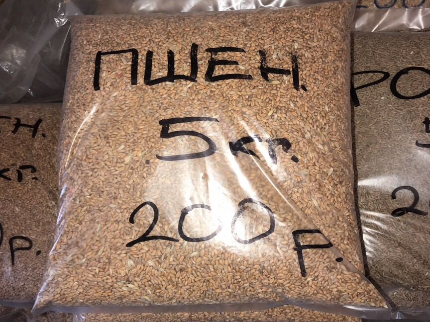 Зерно пшеница ячмень