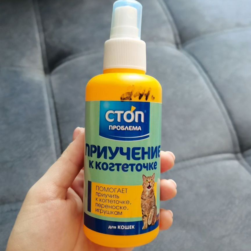 Приучен е к когтеточке