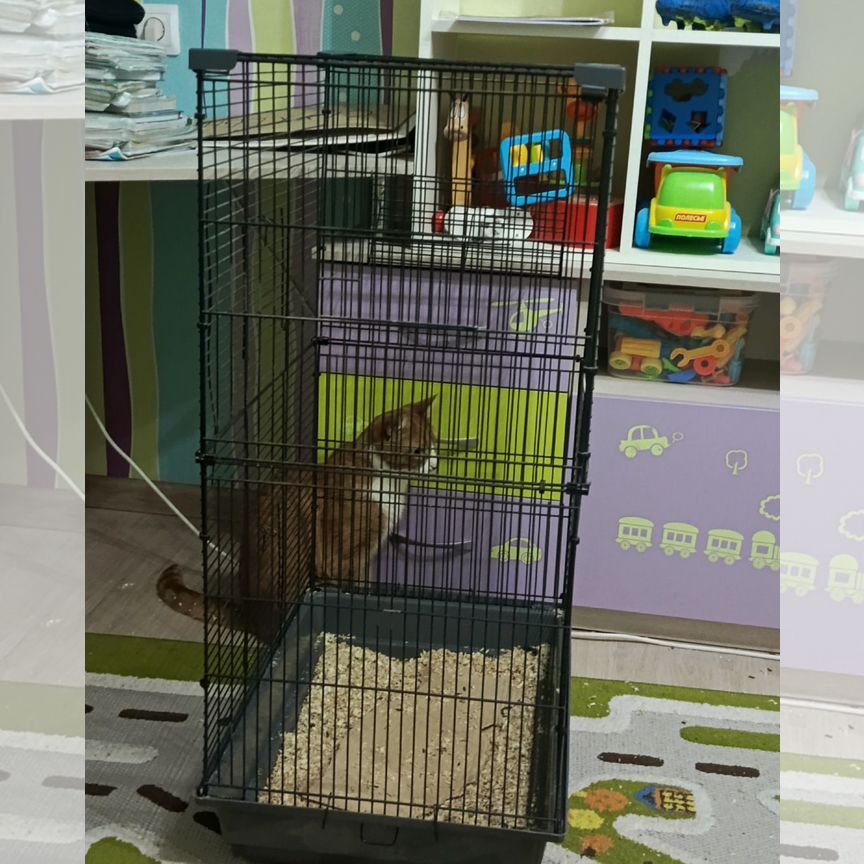 Клетка большая 40х57х87