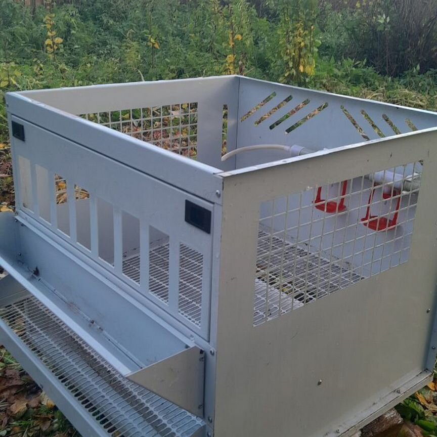 Клетка куриная