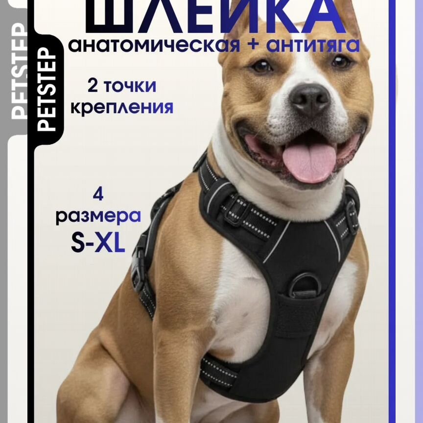 Анатомическая шлейка