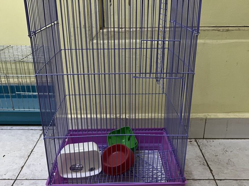 Клетки для грызунов