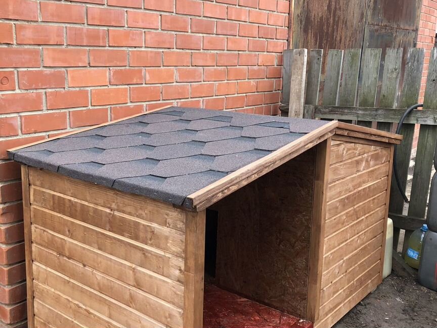 Собачья будка