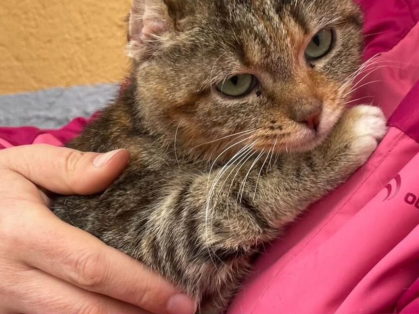 Зайку, выбросили в опасном месте