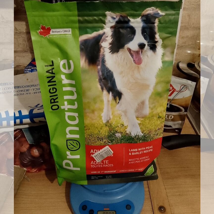 Корм для собак