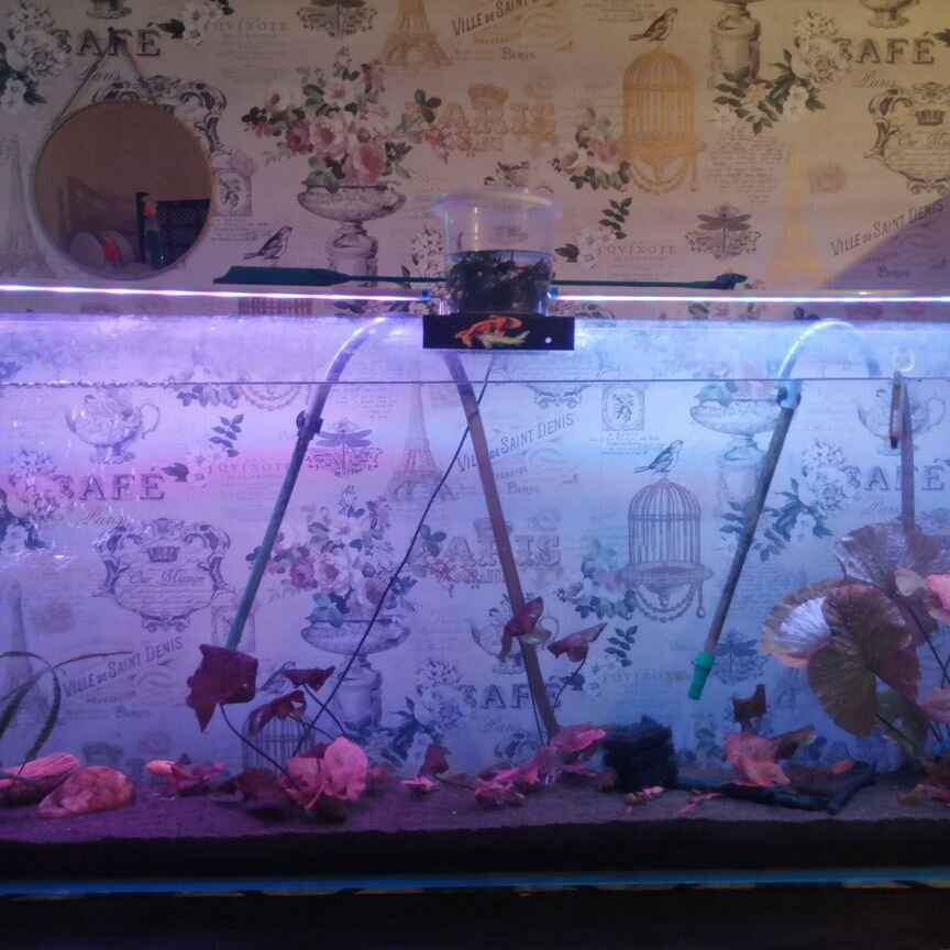 Аквариум 180 литров с тумбой бу