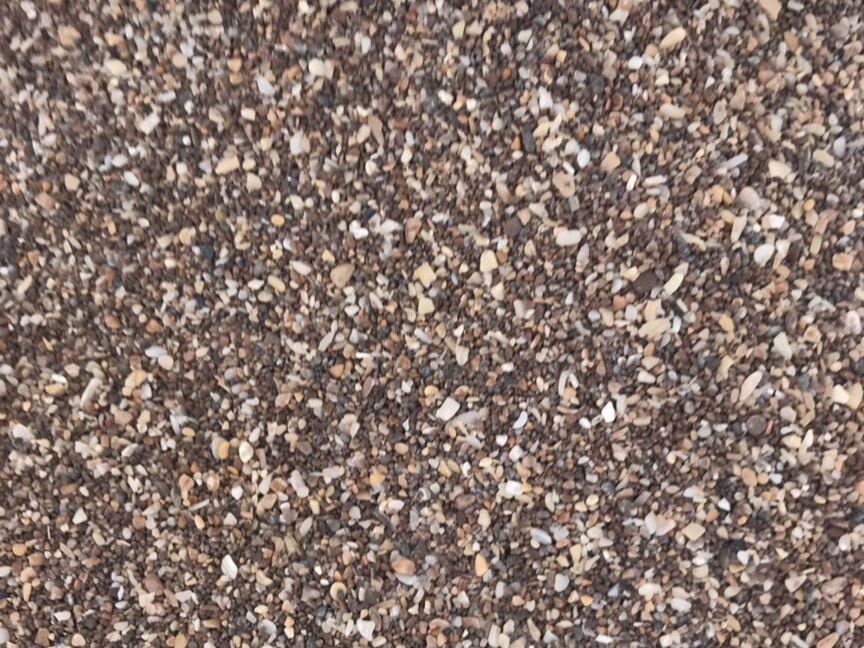 Ракушка Каспийская для комбикорма