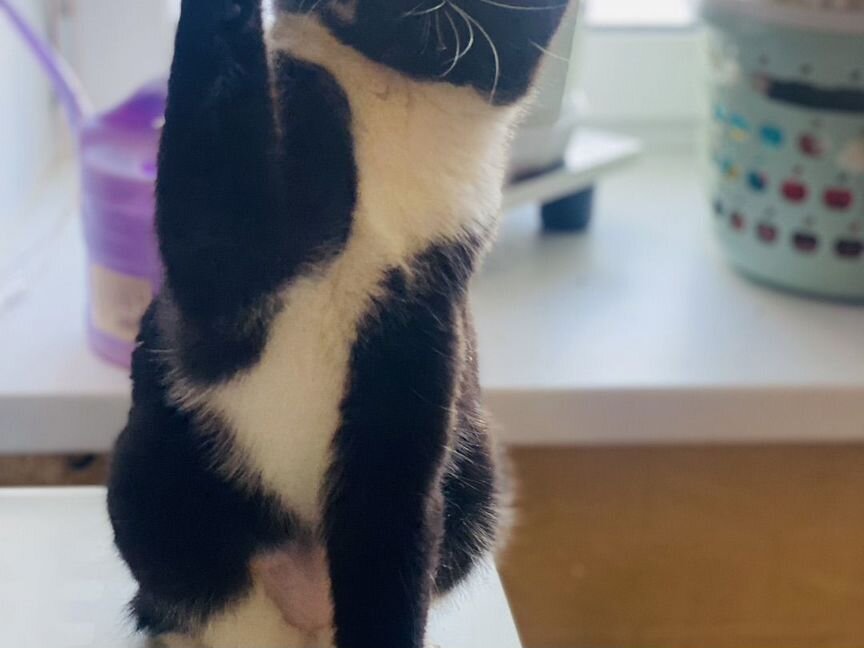 В ответственные руки