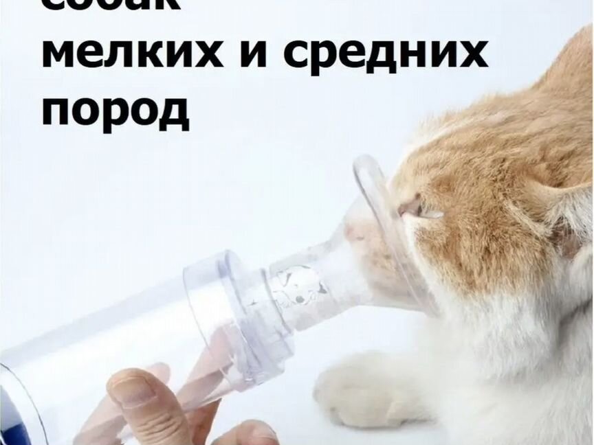 Спейсер для собак кошек