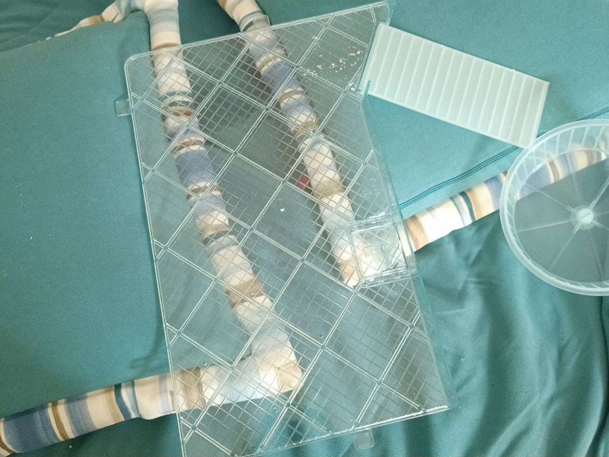 Продам или обменяю колесо и второй этаж для дюны