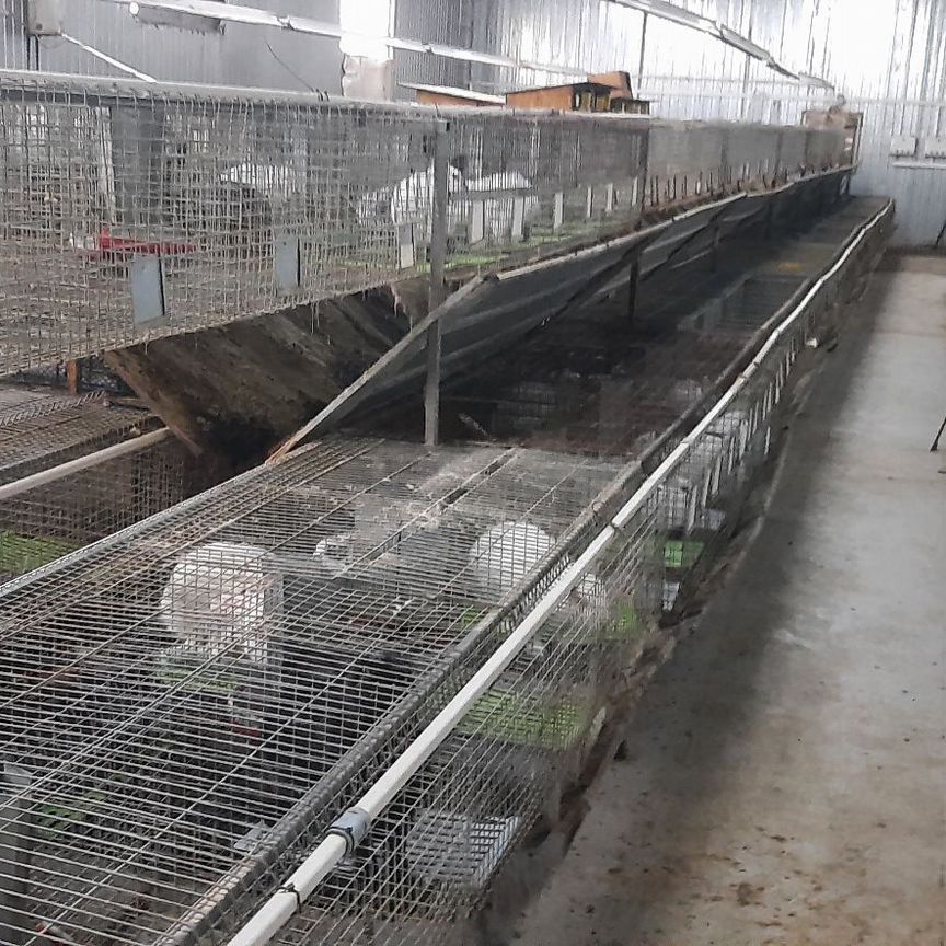 Продам промышленные клетки для кроликов