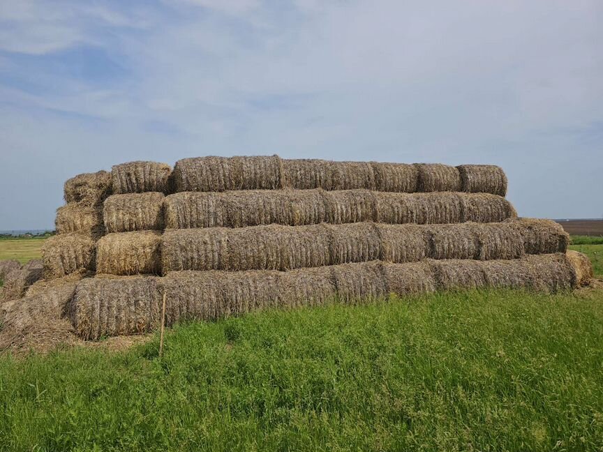 Сено солома в рулонах