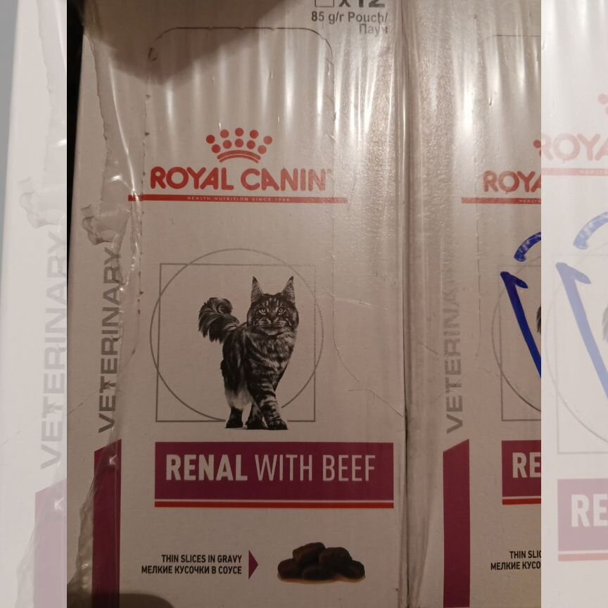 Влажный корм для кошек royal canin