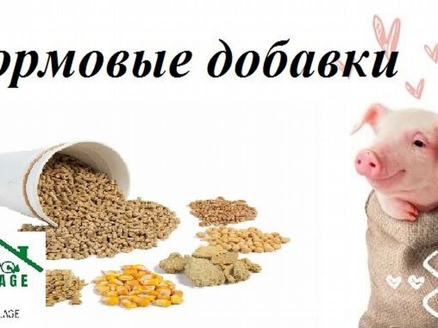 Мясокостная мука