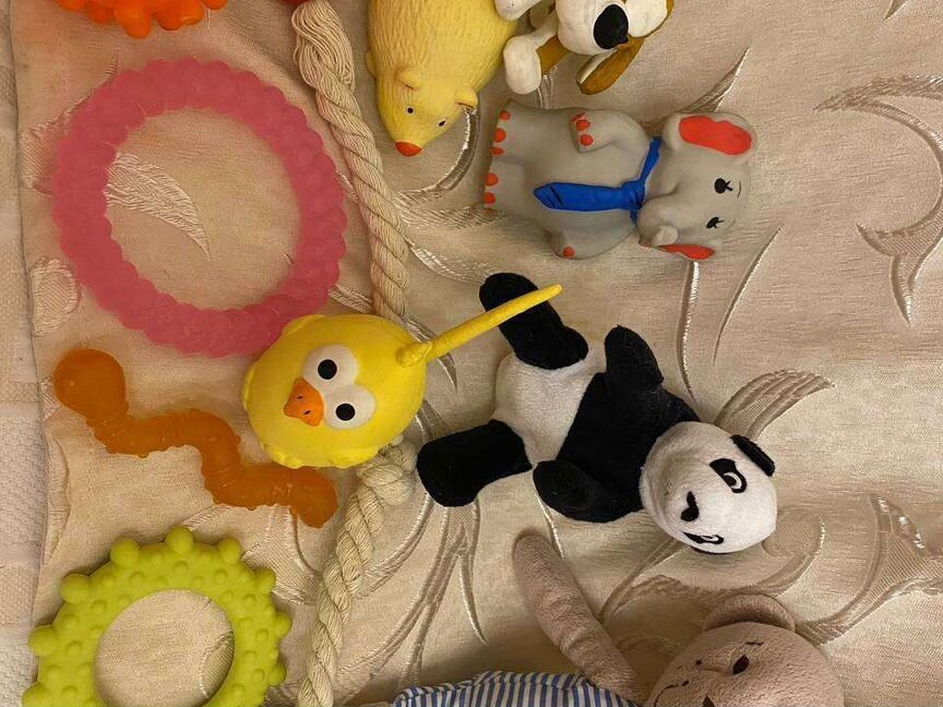 Игрушки для маленьких собак