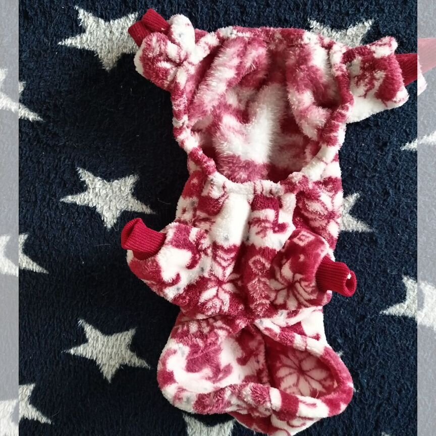 Одежда для маленьких пород собак