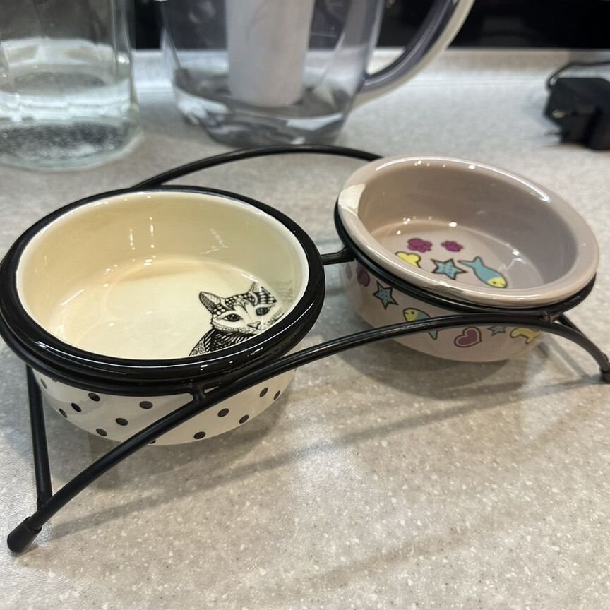 Кошачья миска