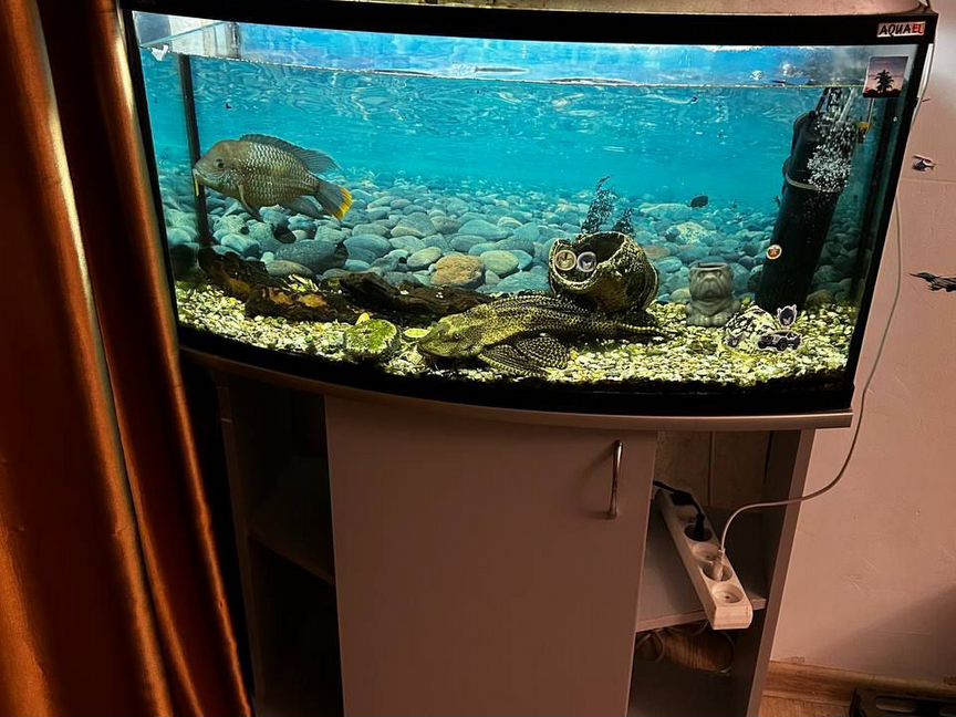 Аквариум 100 литров с тумбой и рыбами