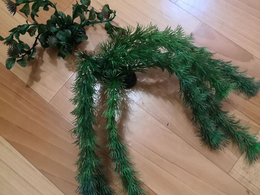 Аквариумные растения искусственные