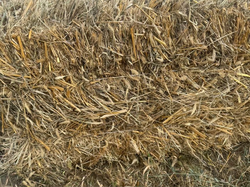 Сено разнотравье