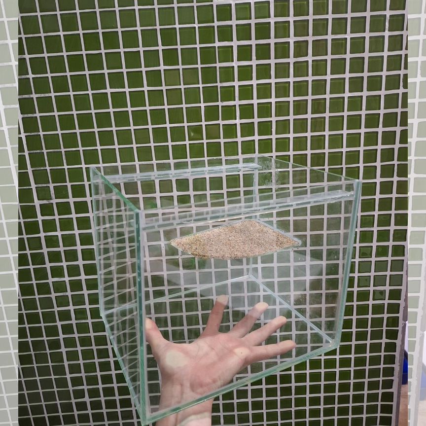 Аквариум для красноухой черепахи