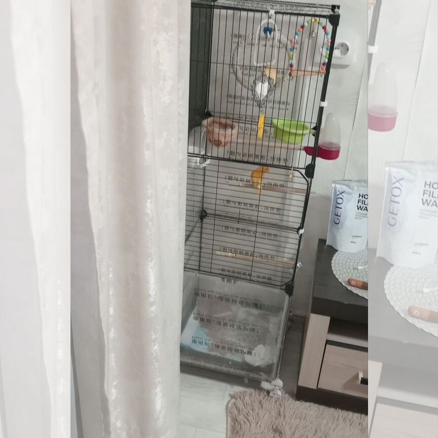 Певчие птицы