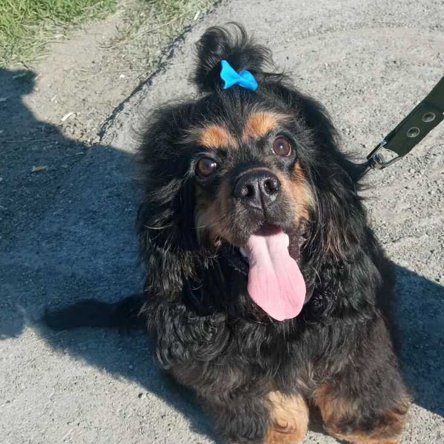 Малыш Тимуся