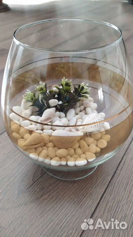 Аквариум Флорариум