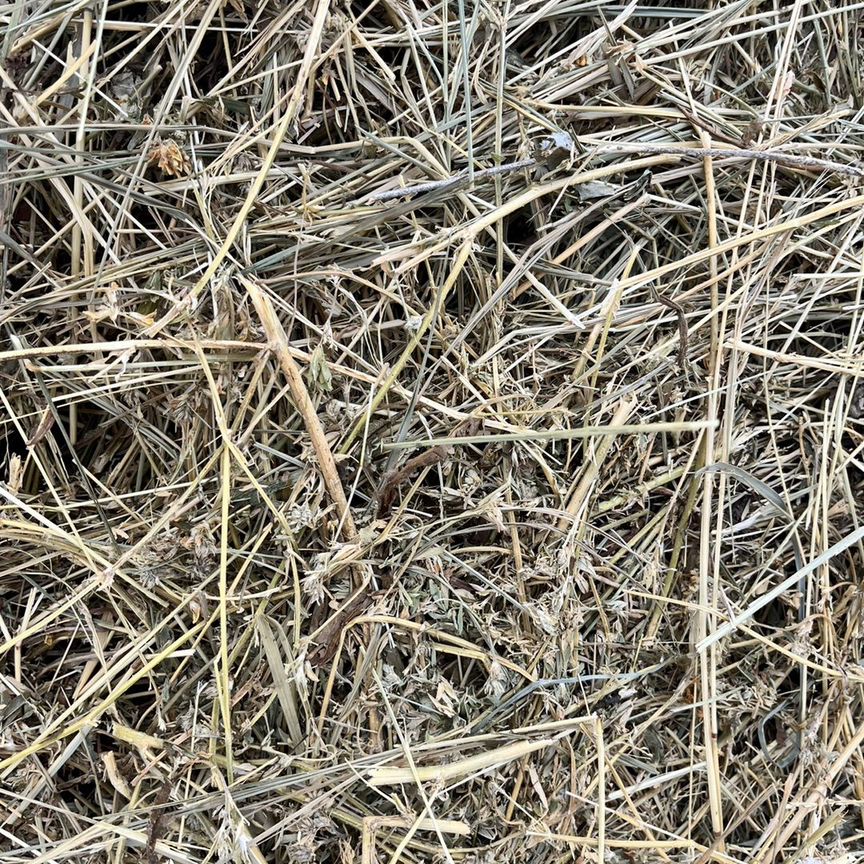 Сено в рулонах