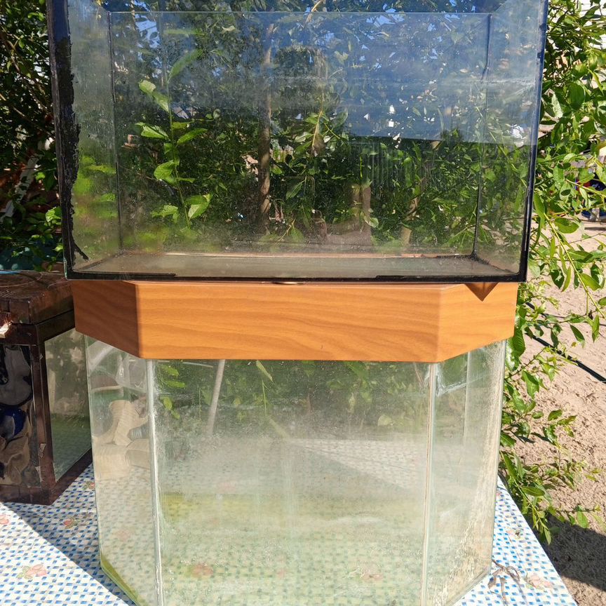 Аквариум террариум