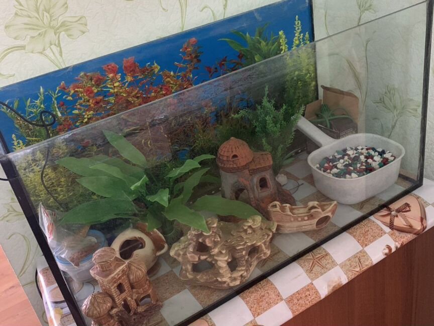 Аквариум