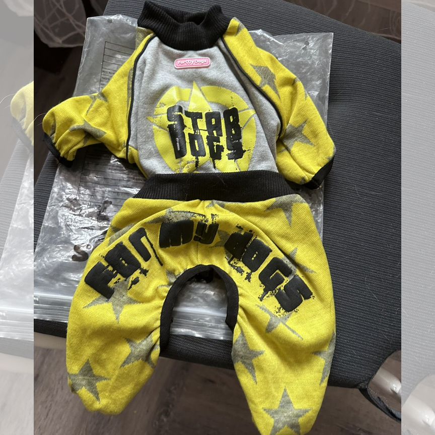 Костюм новый чихуа-чихуа