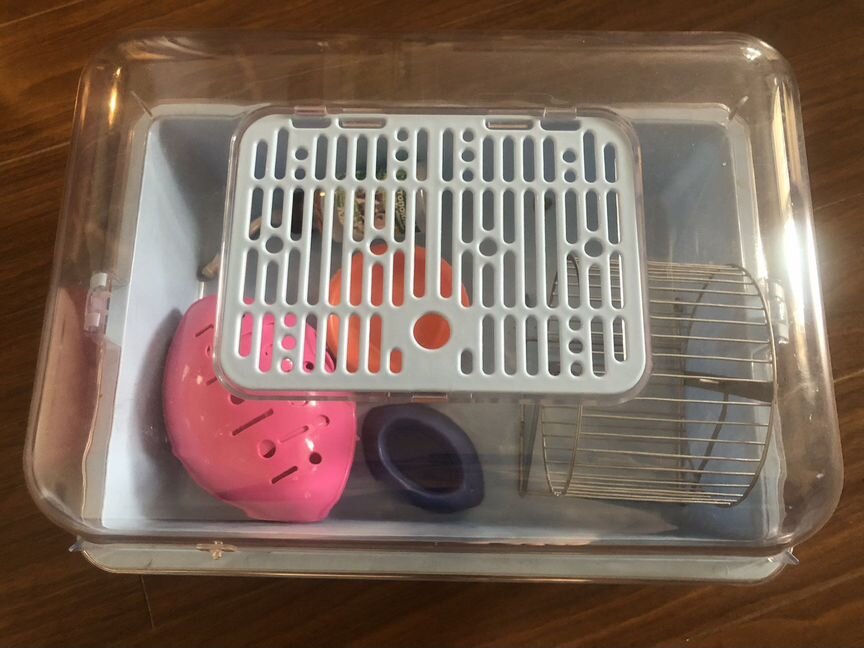 Домик для хомячка набор