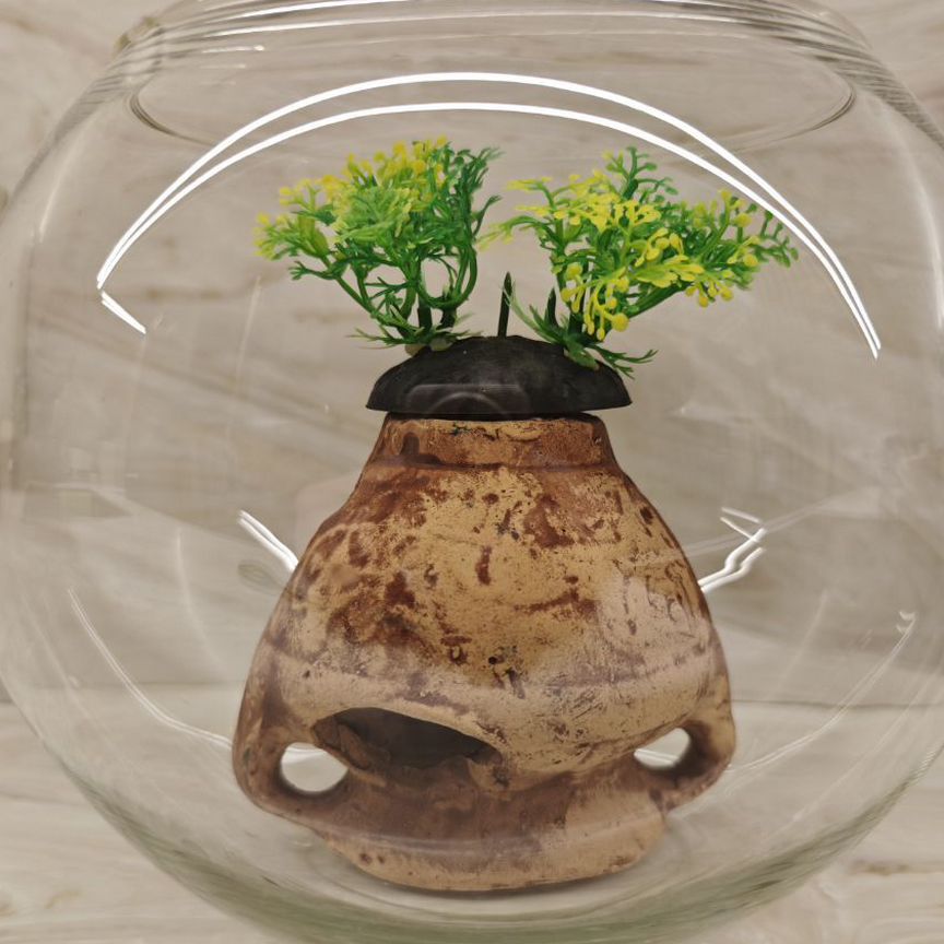 Аквариум для петушка на 5 л