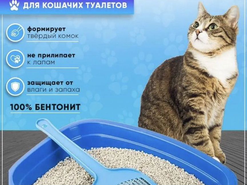 Наполнитель для кошачьего туалета принадлежности