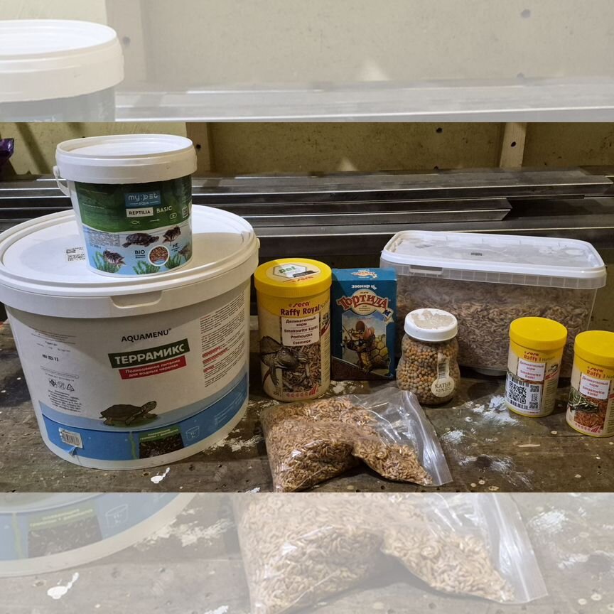 Корм для черепах
