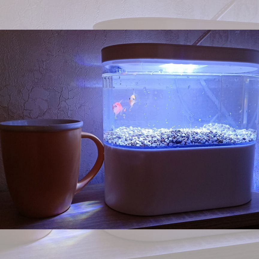 Аквариум портативный с рыбками (карамельки 2шт)