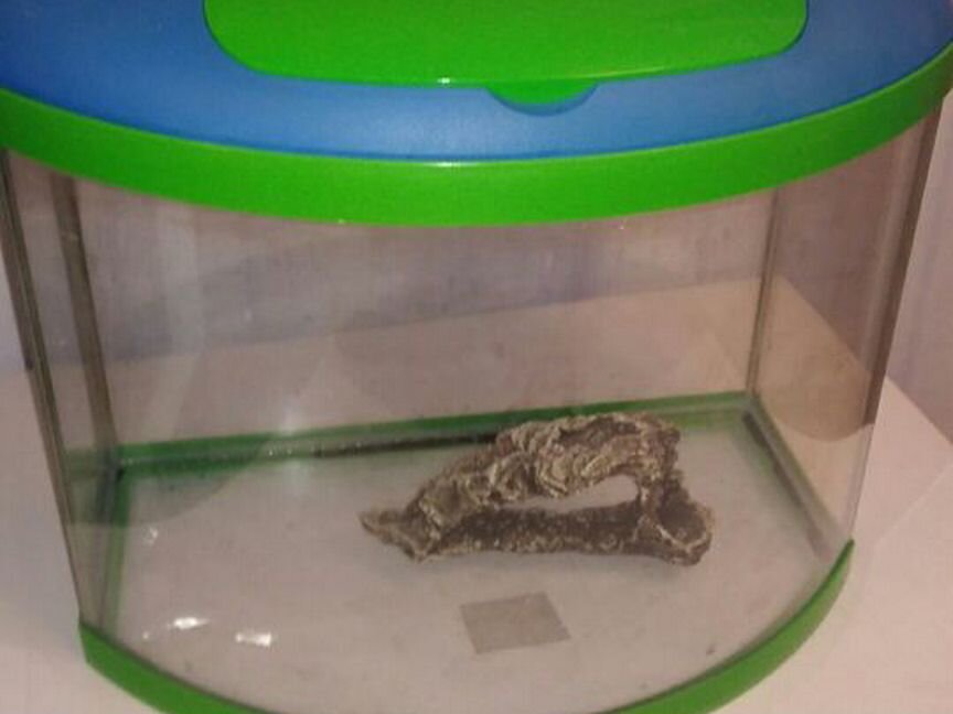 Аквариум 20-25 литров