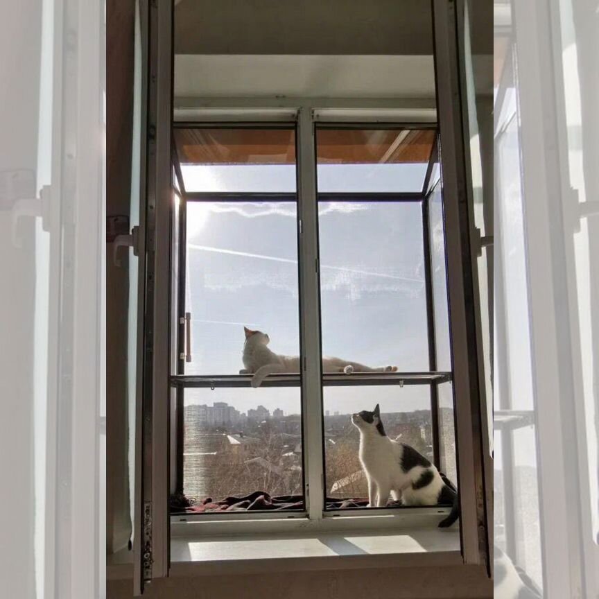 Балкончики для кошки