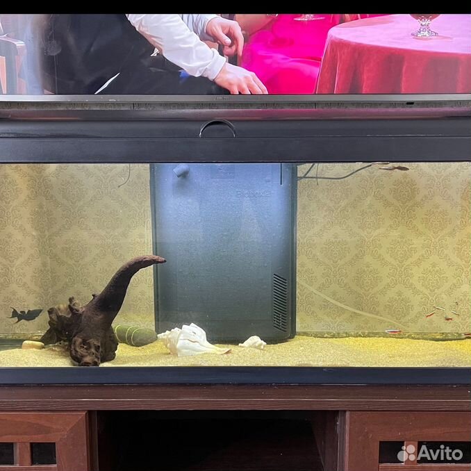 Аквариум aquatlantis