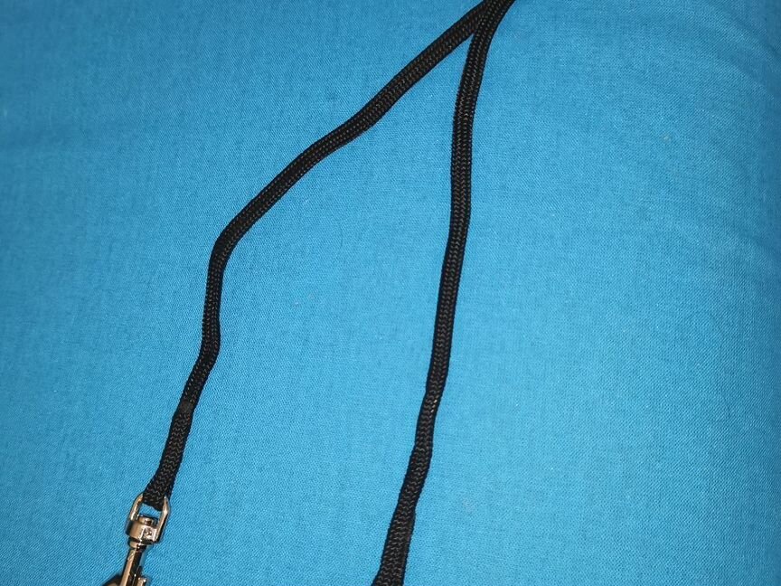 Сворка для двух собак