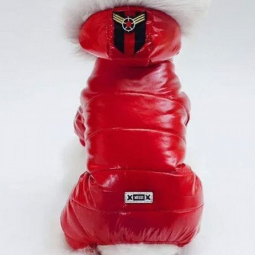 Одежда для маленьких собак зима