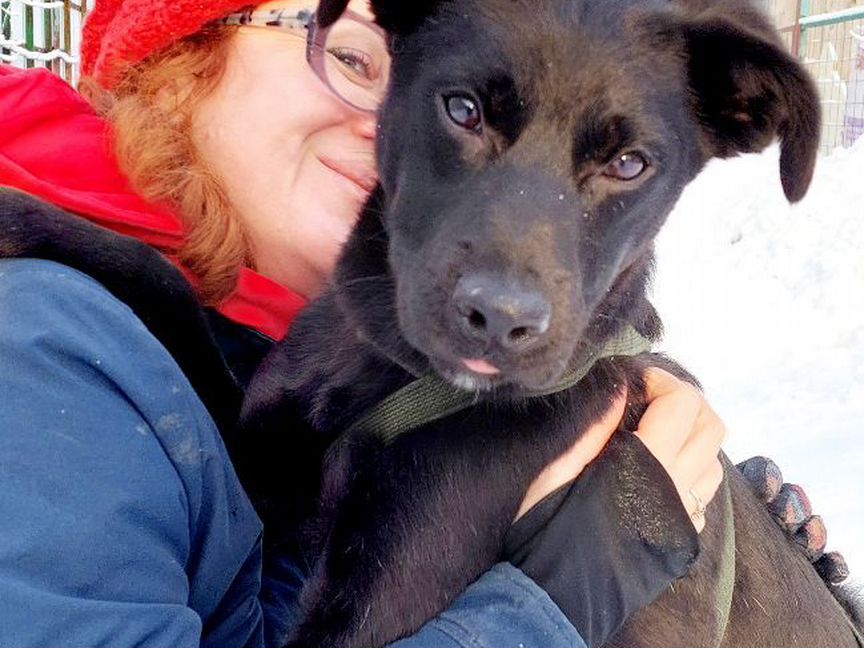 Щенок Тимьян ищет дом