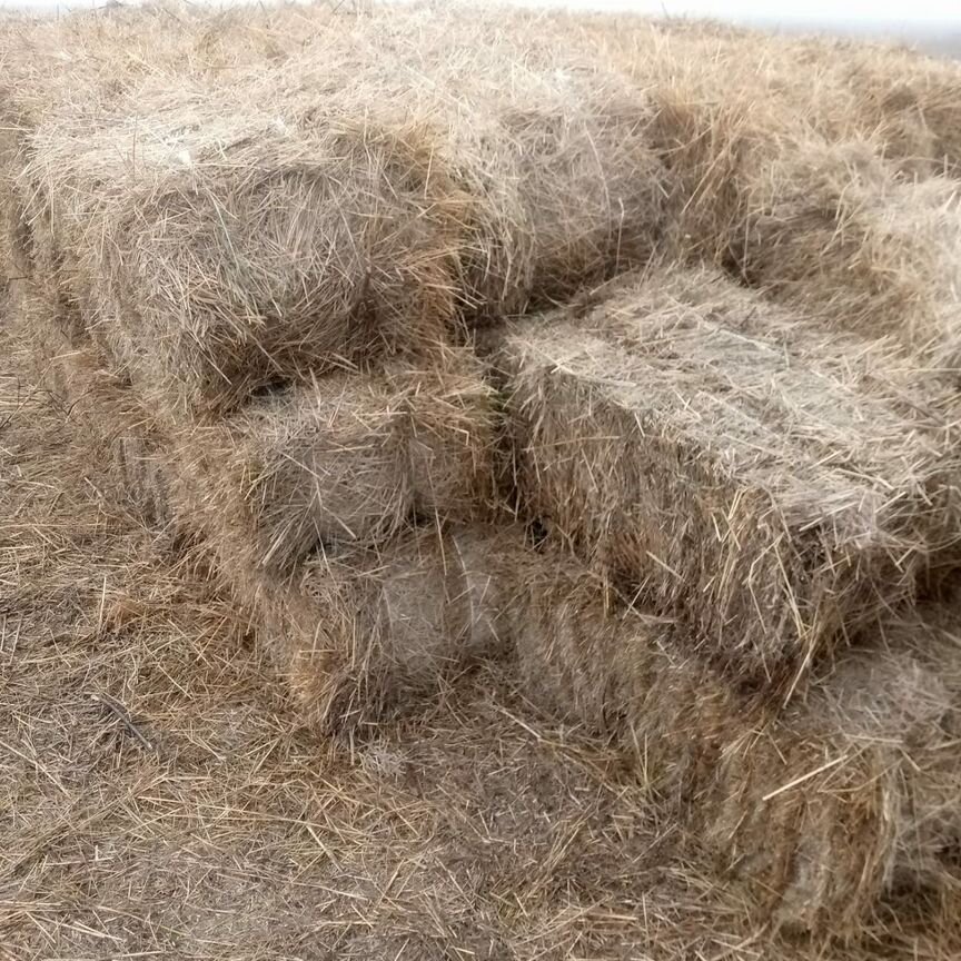 Сено в тюках